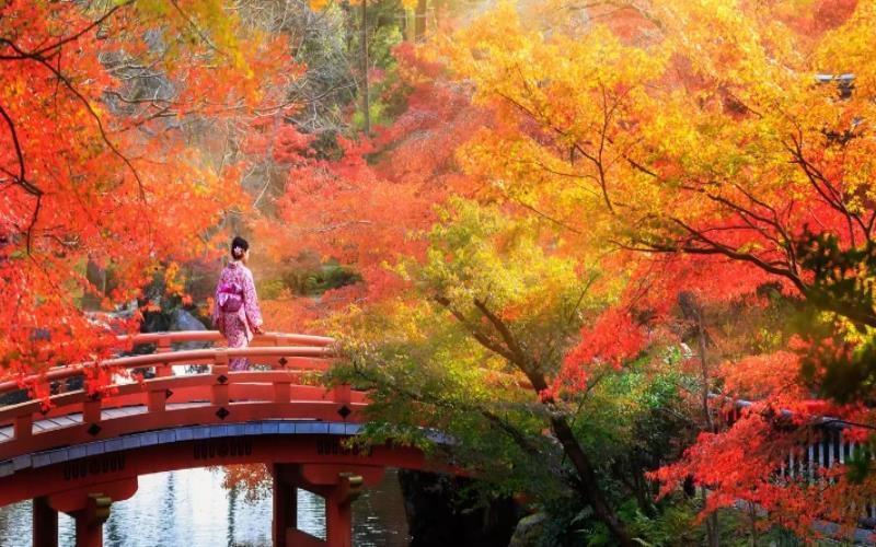 Unveiling Japan's Best-Kept Secrets: A Luxurious Private Tour with paradiseintertour.com ...